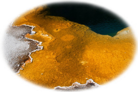 Home [www.galenet.net]